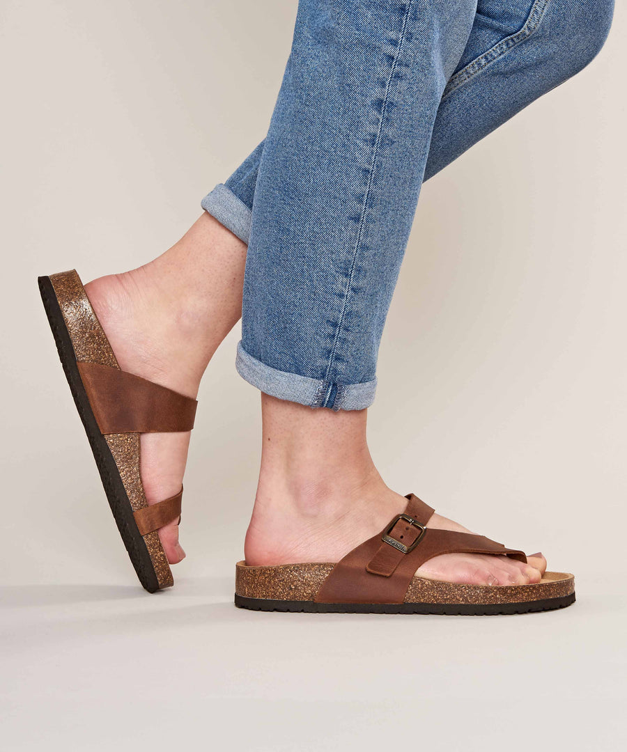 Brown – moshulu